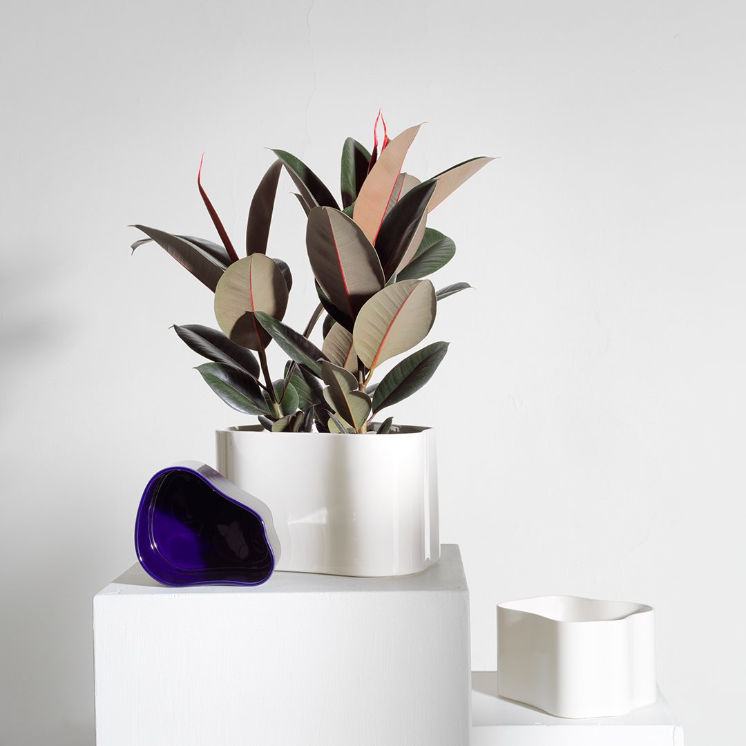 Artek Riihitie Plant Pot - Shape A by Aino Aalto | Danish Design Store