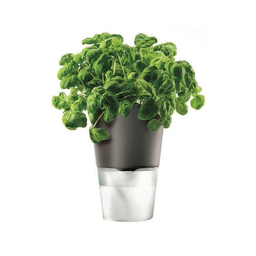 Selfwatering Herb Pot – Danish Design Store